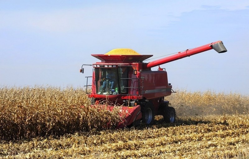 Iowa farmers produce huge corn and soybean crops in 2024 despite ...