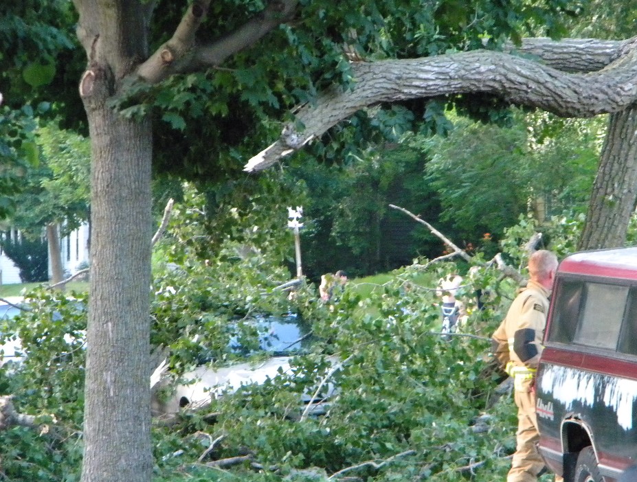 Tree in Mason City snaps in half, takes out power lines and causes gas ...