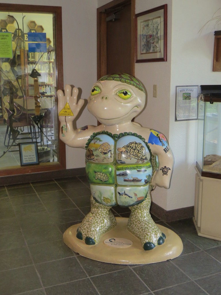 Turtle display now on exhibit at Lime Creek Nature Center ...