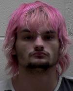 Former Domino's delivery man nabbed at Pizza Hut on probation violation ...