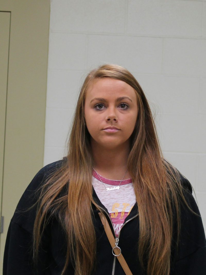 Two women charged after putting vehicle into Clear Lake and lying to ...