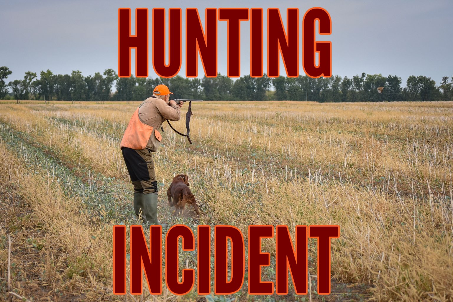 Man shot while bird hunting in Northern Iowa - NorthIowaToday.com
