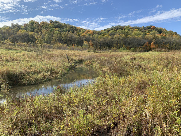 Restoration efforts bring life back to Northern Iowa's Mill Creek ...