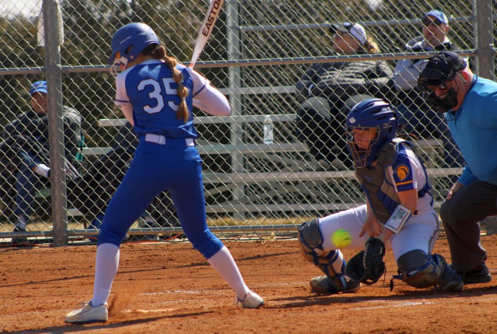 NIACC softball team returns to NJCAA rankings at No. 20 ...