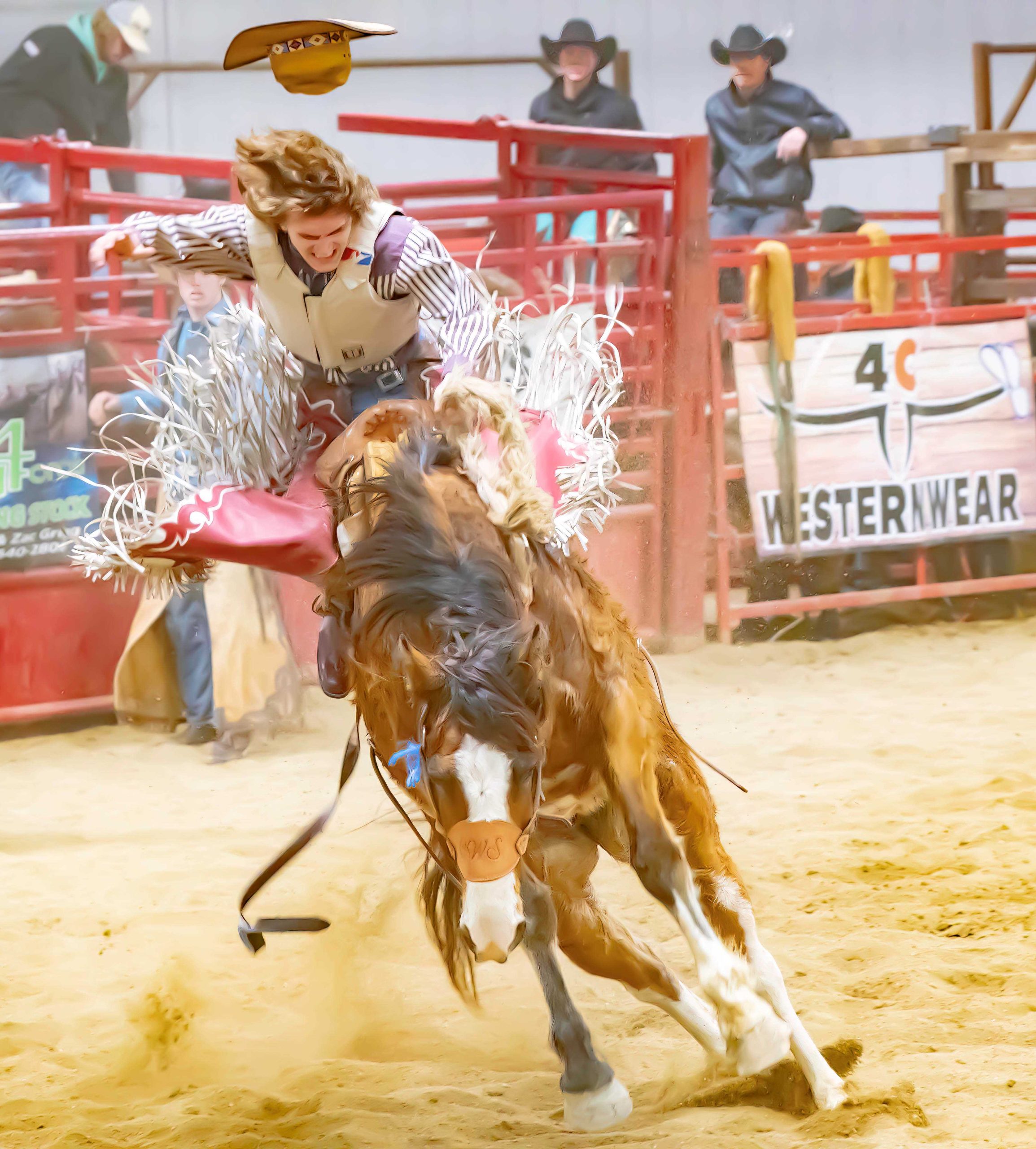 MacNider Museum in Mason City now displaying 43rd Annual Cerro Gordo ...