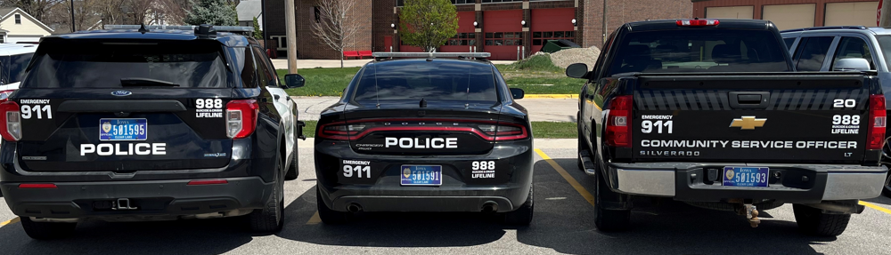 Clear Lake police add 988 number to their marked patrol cars as public ...