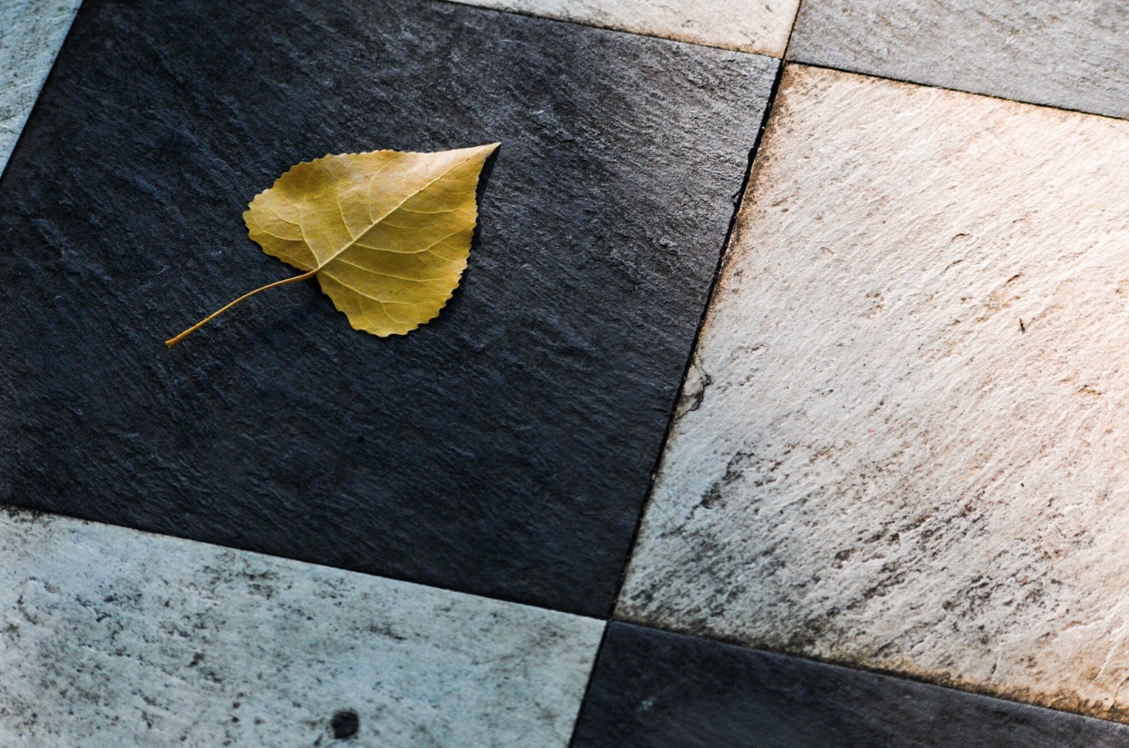 The Ultimate Guide to Choosing the Perfect Tiles for Your Home ...