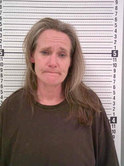Northern Iowa couple busted with meth and weed, cops say children were ...