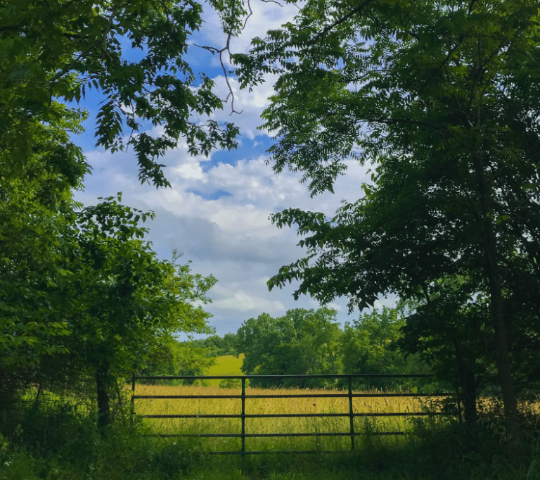 Historic and Natural Wonders of North Iowa: Sights to See on Your Trip ...