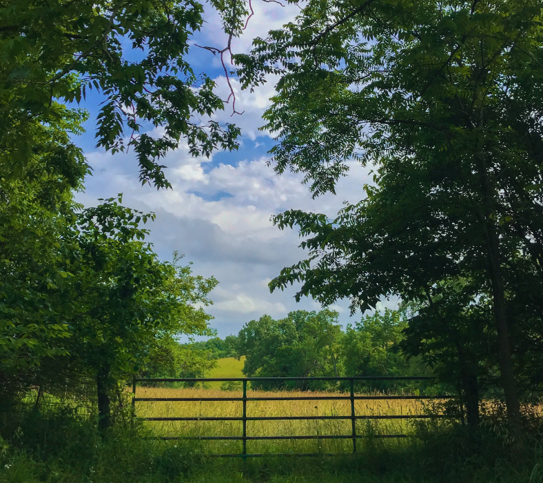 Historic and Natural Wonders of North Iowa: Sights to See on Your Trip ...