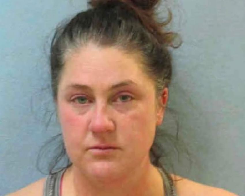 Treasurer at Iowa courthouse accused of felonious conduct ...