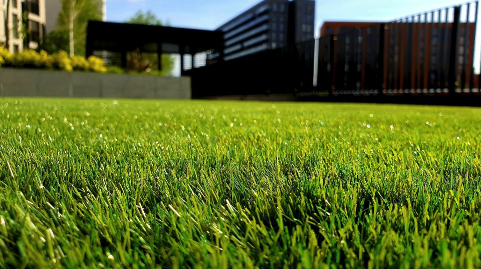 How to Maintain Grass Through All Seasons in the Midwest ...