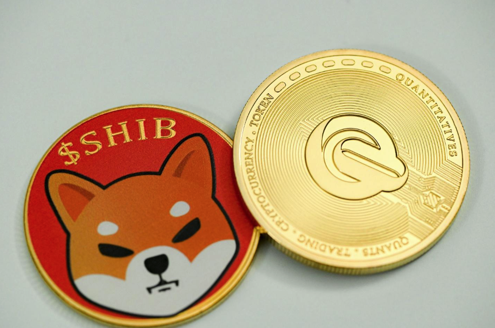 Shibarium: Let’s delve into the ecosystem of the Shiba Inu coin ...