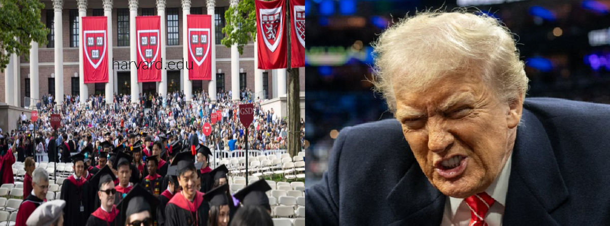 Trump Administration wages war on Harvard, bans foreign student ...