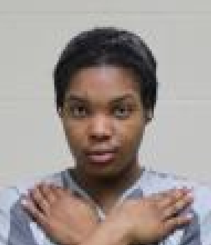 Bat Woman nabbed by cops after sowing fresh chaos in Mason City ...