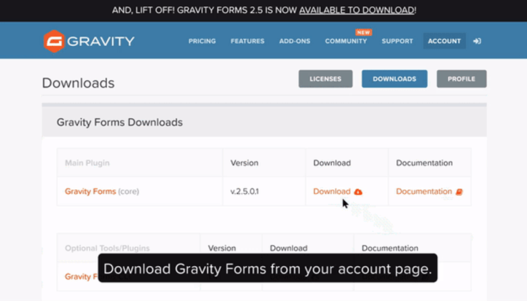 The Best Gravity Forms Plugins for Extra Functionality - NorthIowaToday.com