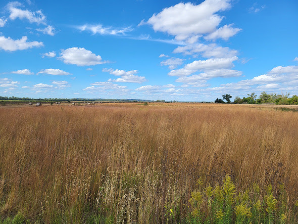 Large Iowa grassland ready to produce vibrant colors - NorthIowaToday.com