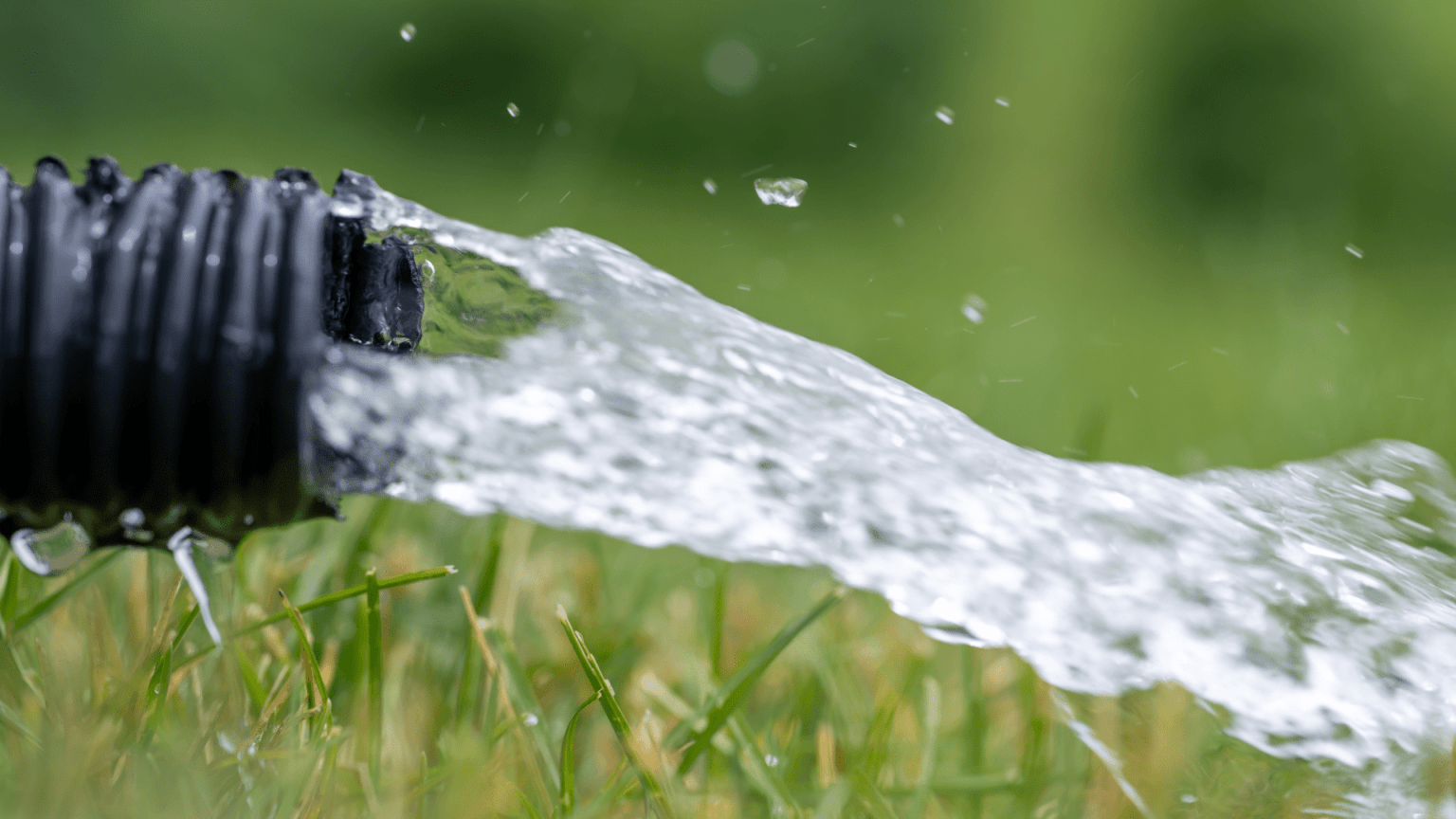 Why Your Basement’s Best Friend is a Sump Pump - NorthIowaToday.com